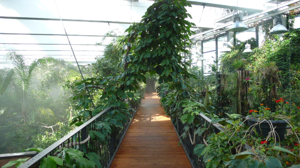 Tropische Hochzeit in der Biosphäre Potsdam